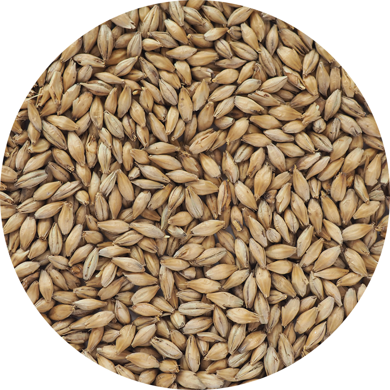 Specialty | The BeerLab