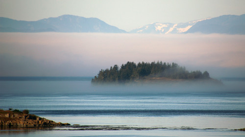 Wayfarer's Blend | Jennybean