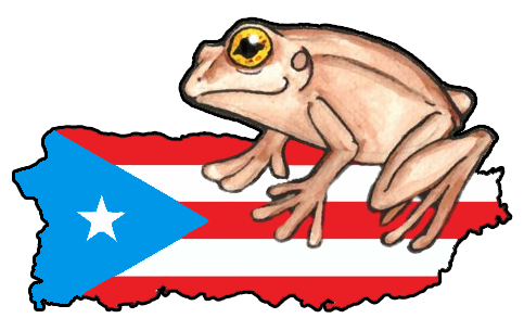 Coqui on PR Flag | Stickers