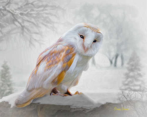 Winter Barn Owl Wildlife Painting