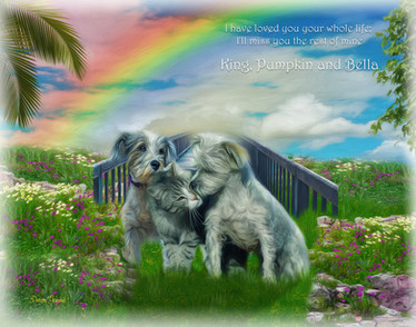 Pet Rainbow Bridge Memorial Portraits - Celebrate Them with Love