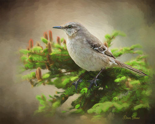 Small Wild Bird Painting | Digital Portrait on Canvas