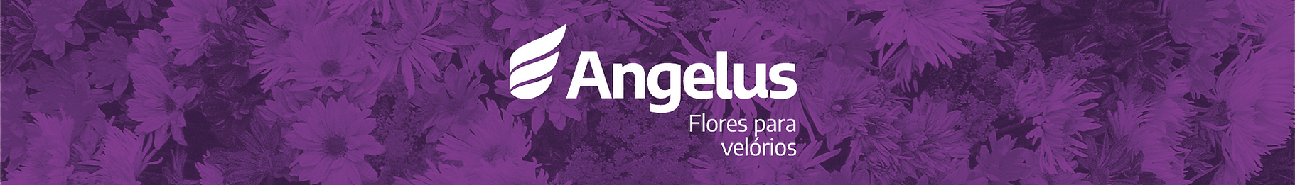 Home | Grupo Angelus