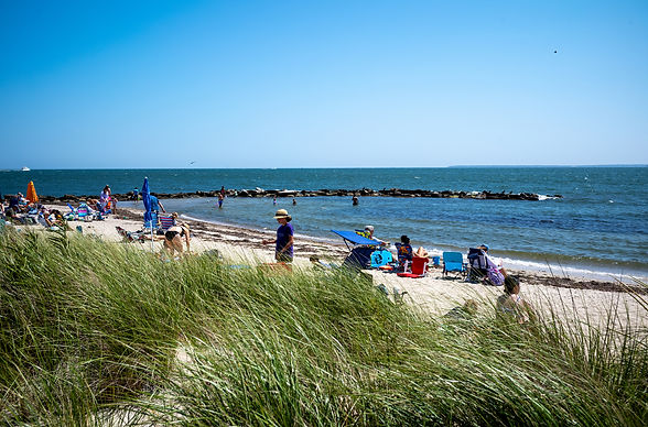south beach cape cod