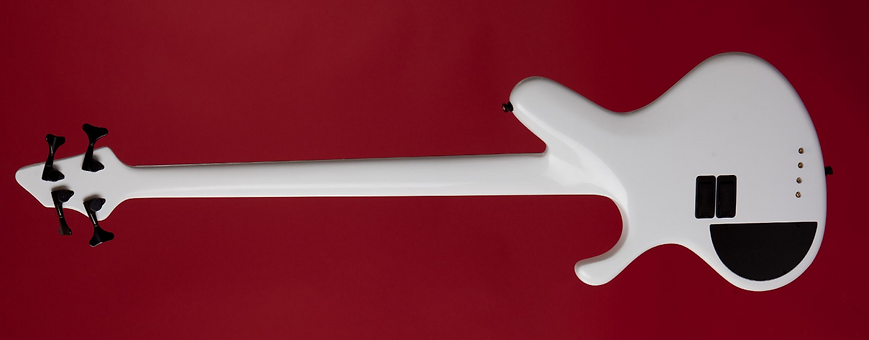 Fusion Bass | CSRGuitars