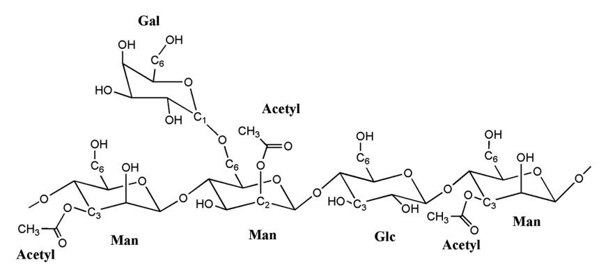Blog | Mioty Voajanahary