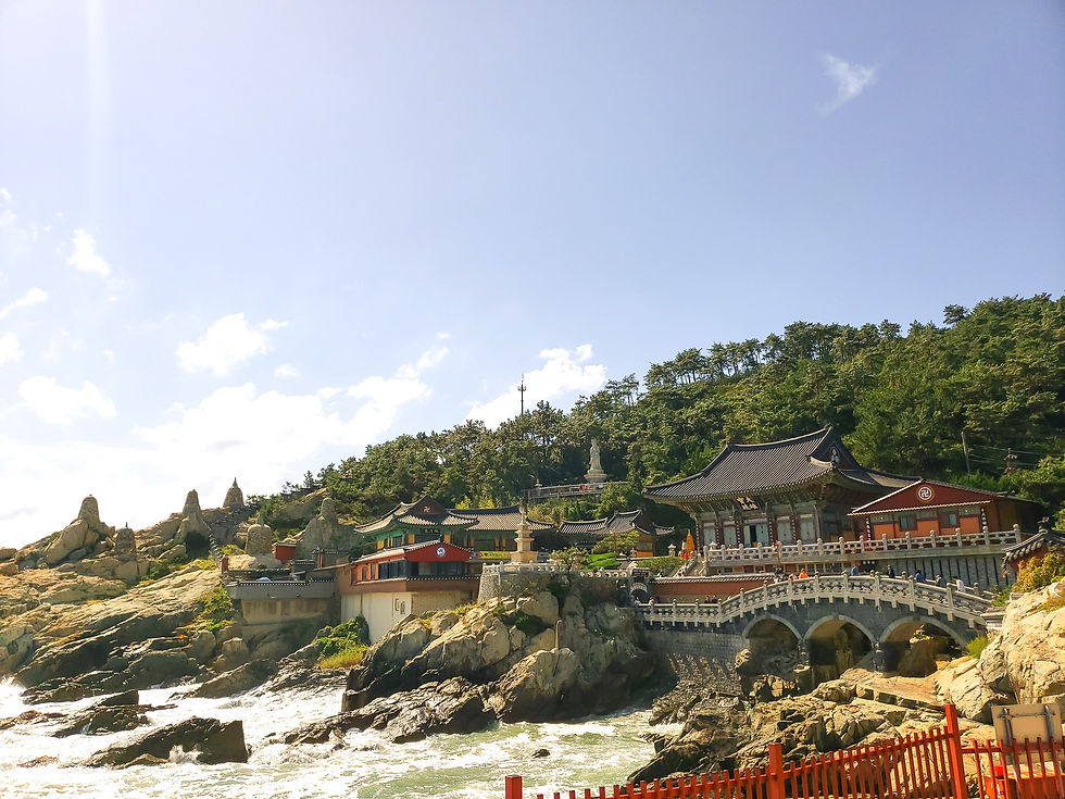 Essential Culture-filled Busan City Guide (What to do, Where to go ...