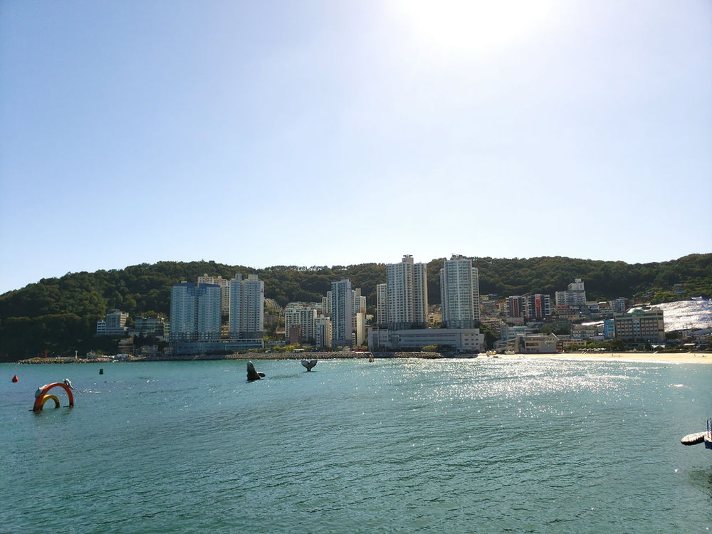 Essential Culture-filled Busan City Guide (What to do, Where to go ...