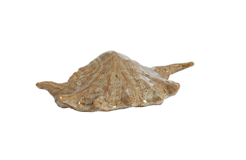 Decoratie schelp “small” | De Boer Luxury