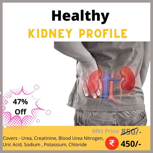 Healthy Kidney Profile | Ranbaxy M Lab Labaxy
