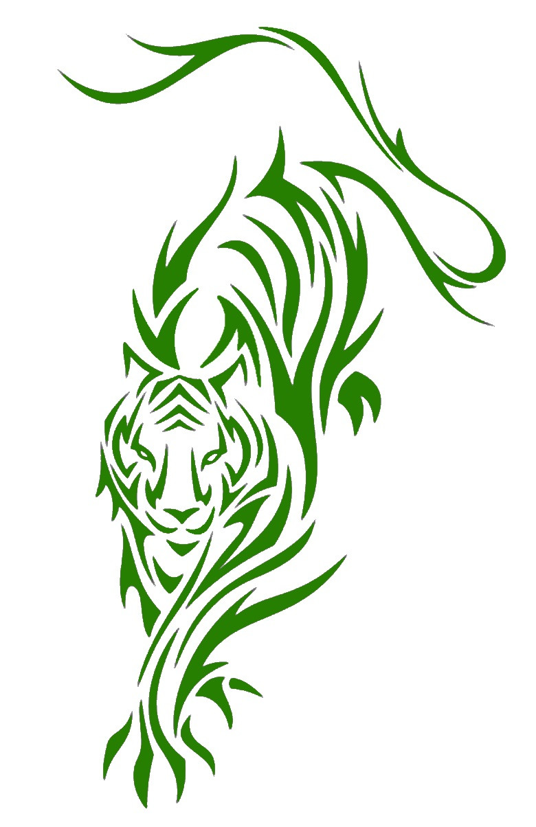 About Us | celtictigers