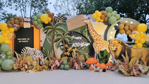 Safari Theme Kids Birthday Package | just joy events