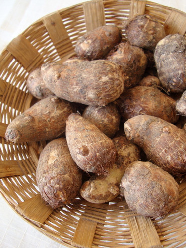 Taru Root(Chamadumpa) | Apna Bazaar Grocery