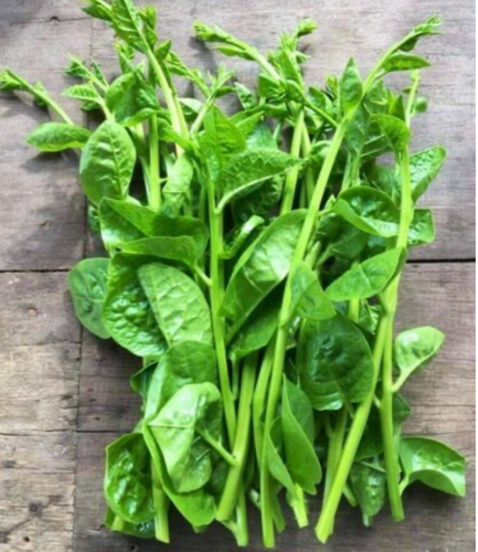 POI Leaves | Apna Bazaar Grocery