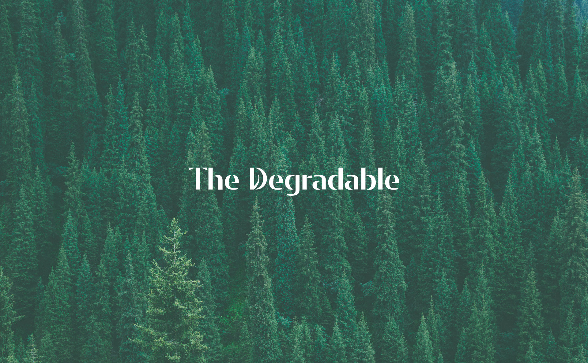 The Degradable | Ofir Design | New Orleans Branding agency