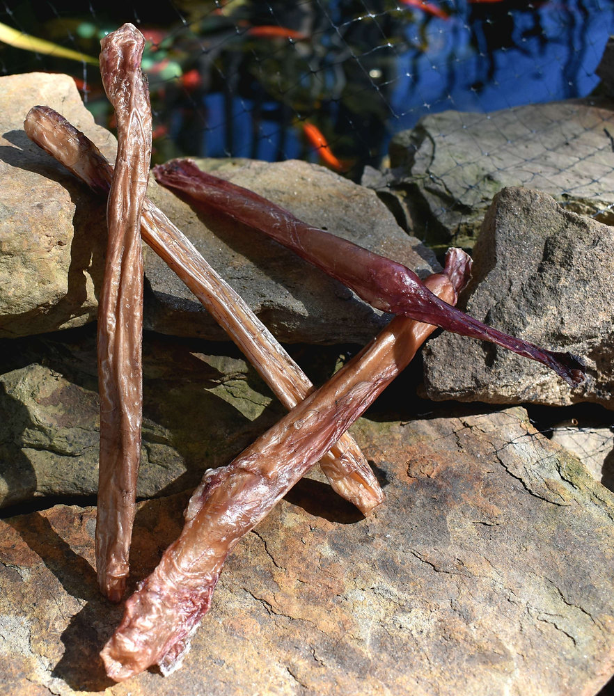 What Is Beef Pizzle (Bully Stick)?