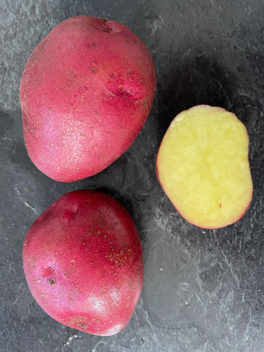 Caledonian Rose | Denholm Potatoes