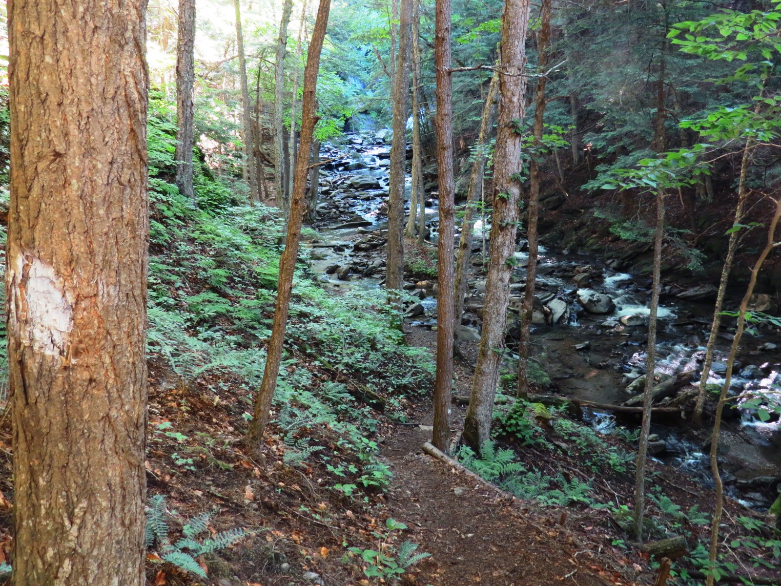 Old City Falls Nature Preserve | town-of-strafford