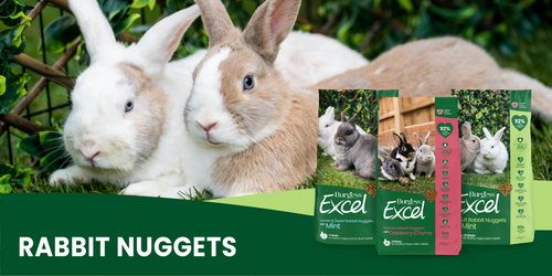 Rabbit Pellets | Burgess Australia