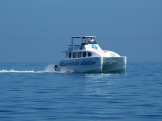 GALLERIE PHOTO | Catamarine