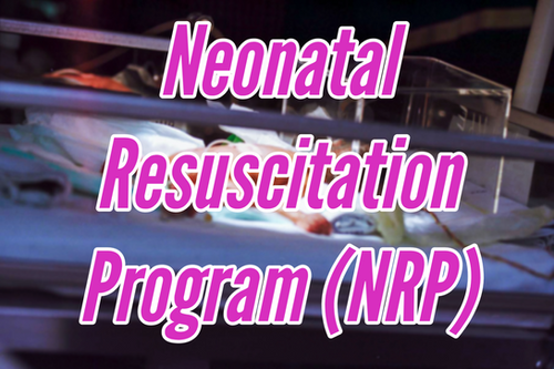 Neonatal Resuscitation Program (NRP) | The Rescue Company 1