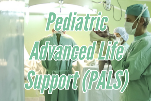 Pediatric Advanced Life Support (PALS) | The Rescue Company 1