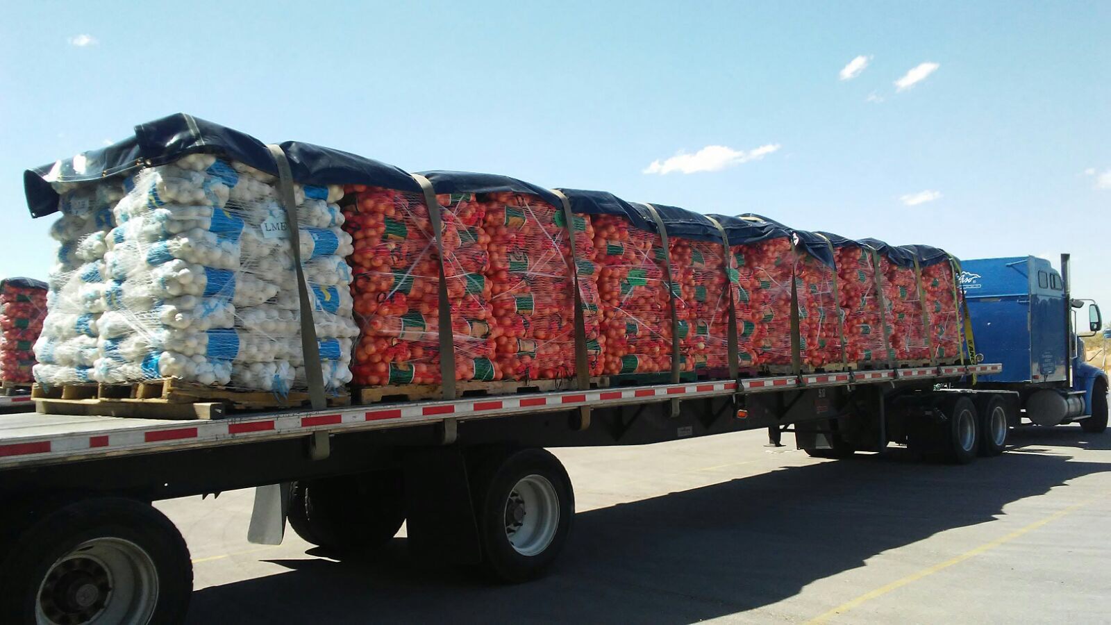 TRANSPORTATION | nationalonioninc