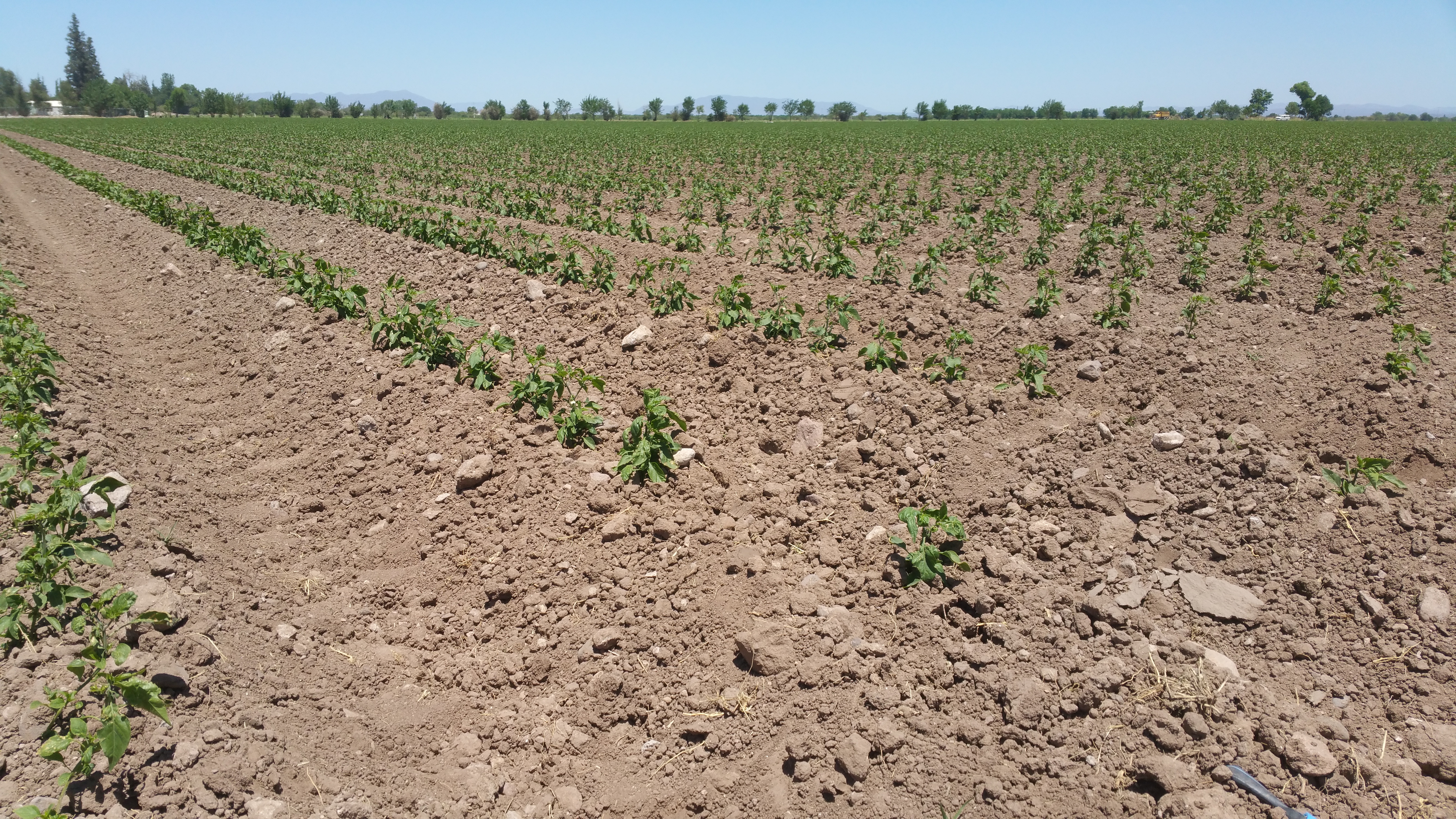 PHOTO GALLERY | nationalonioninc