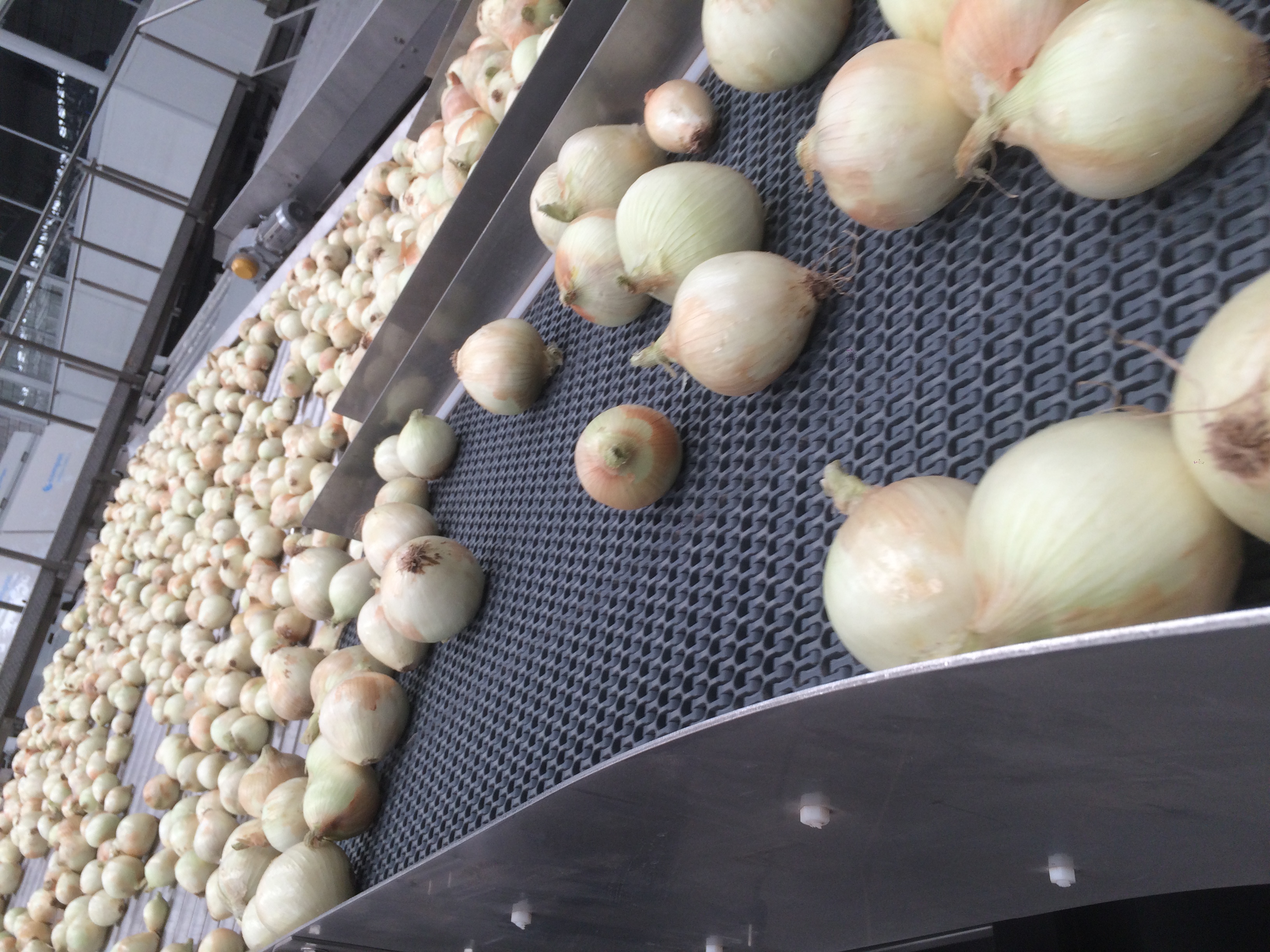 PHOTO GALLERY | nationalonioninc