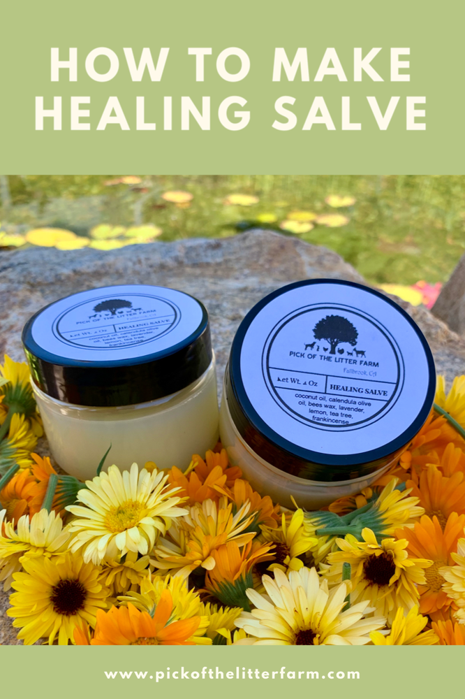 Healing Salve