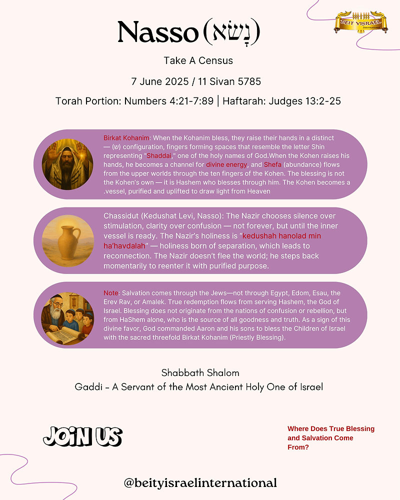 Parashat Nasso -Take A Census-5785-7 June 2025 / 11 Sivan 5785