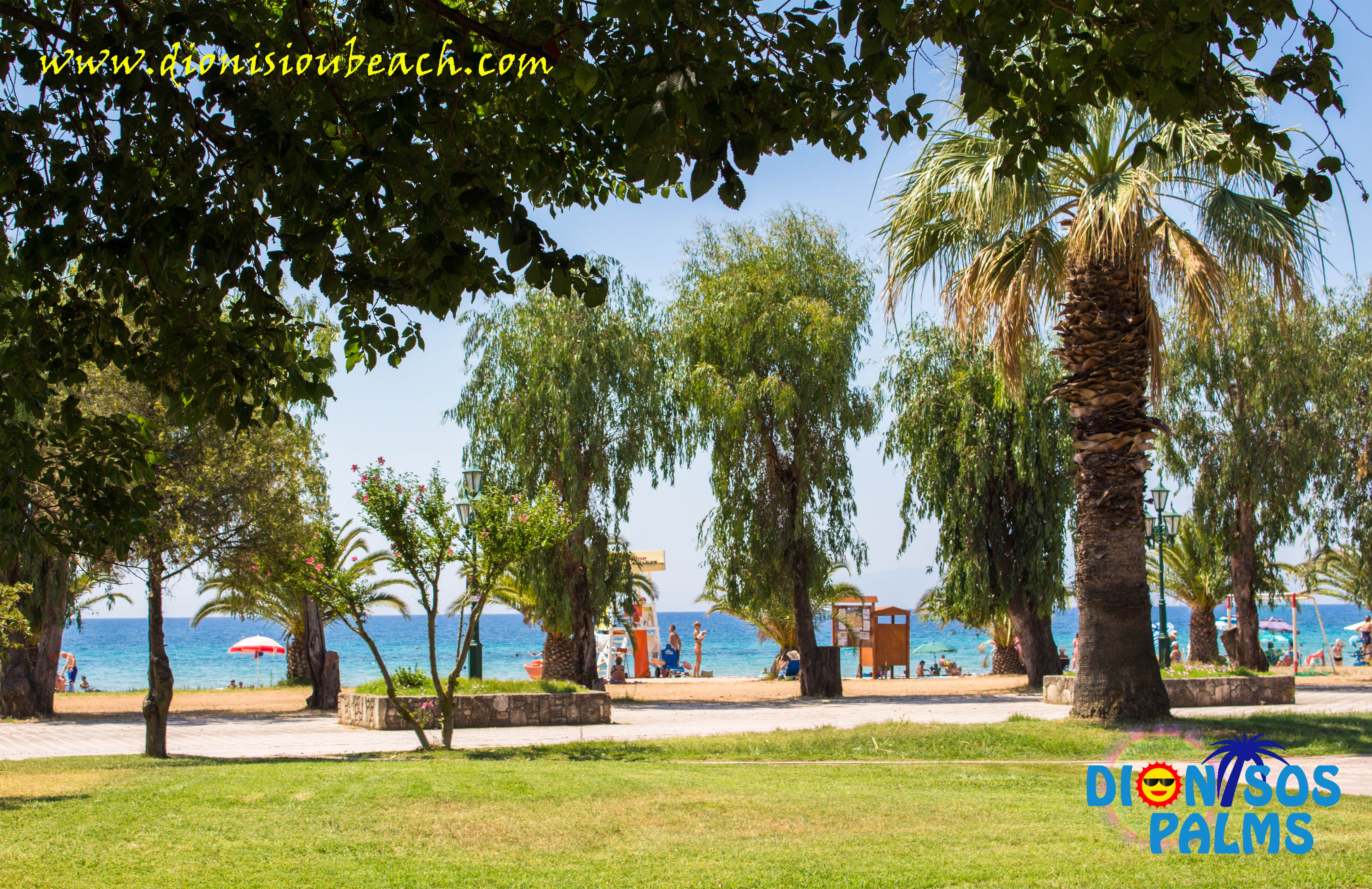 Dionisos Palms | Dionisiou Beach | Spacious Apartments in Halkidiki