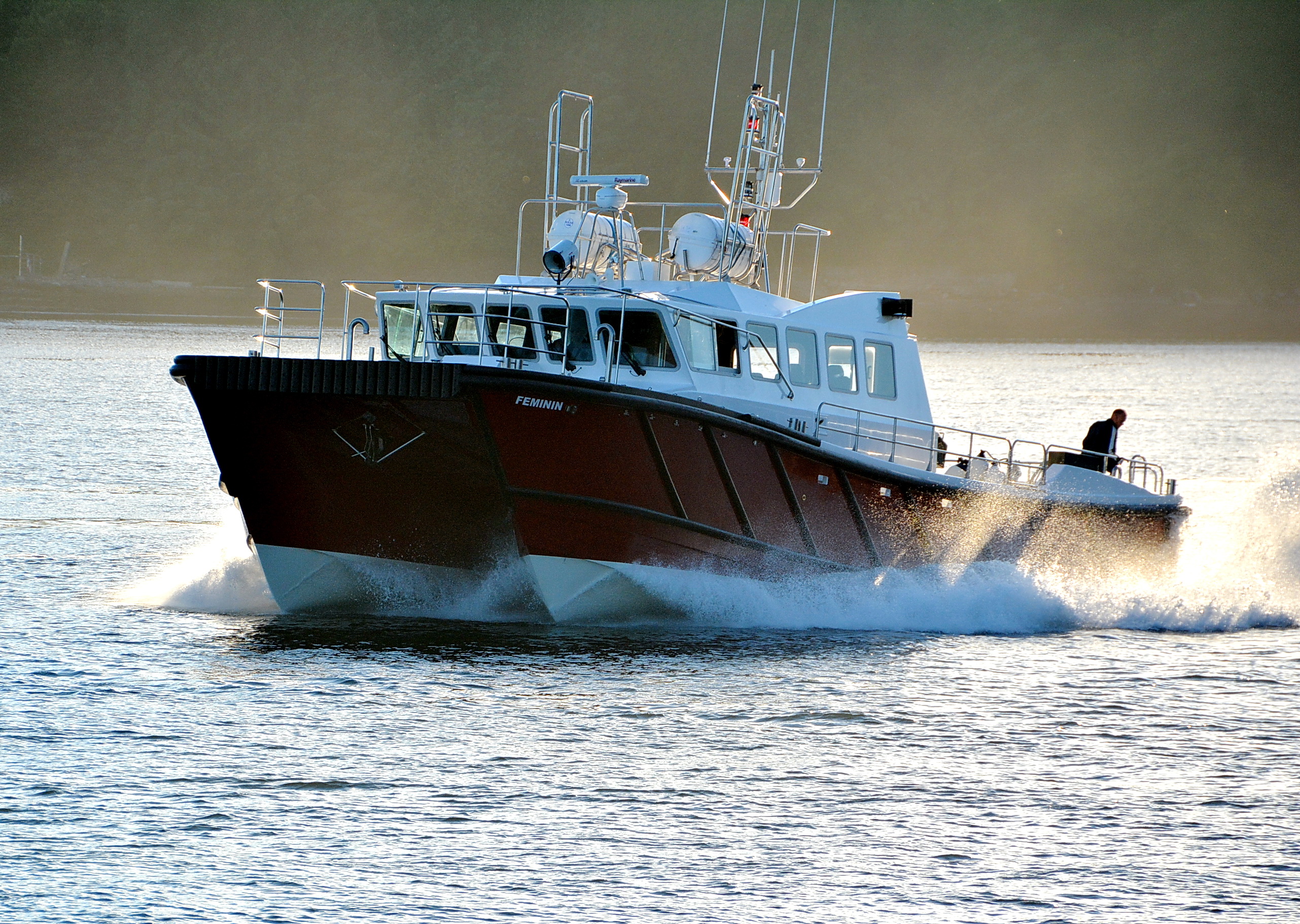 Wildcat 53 Single | safehavenmarine
