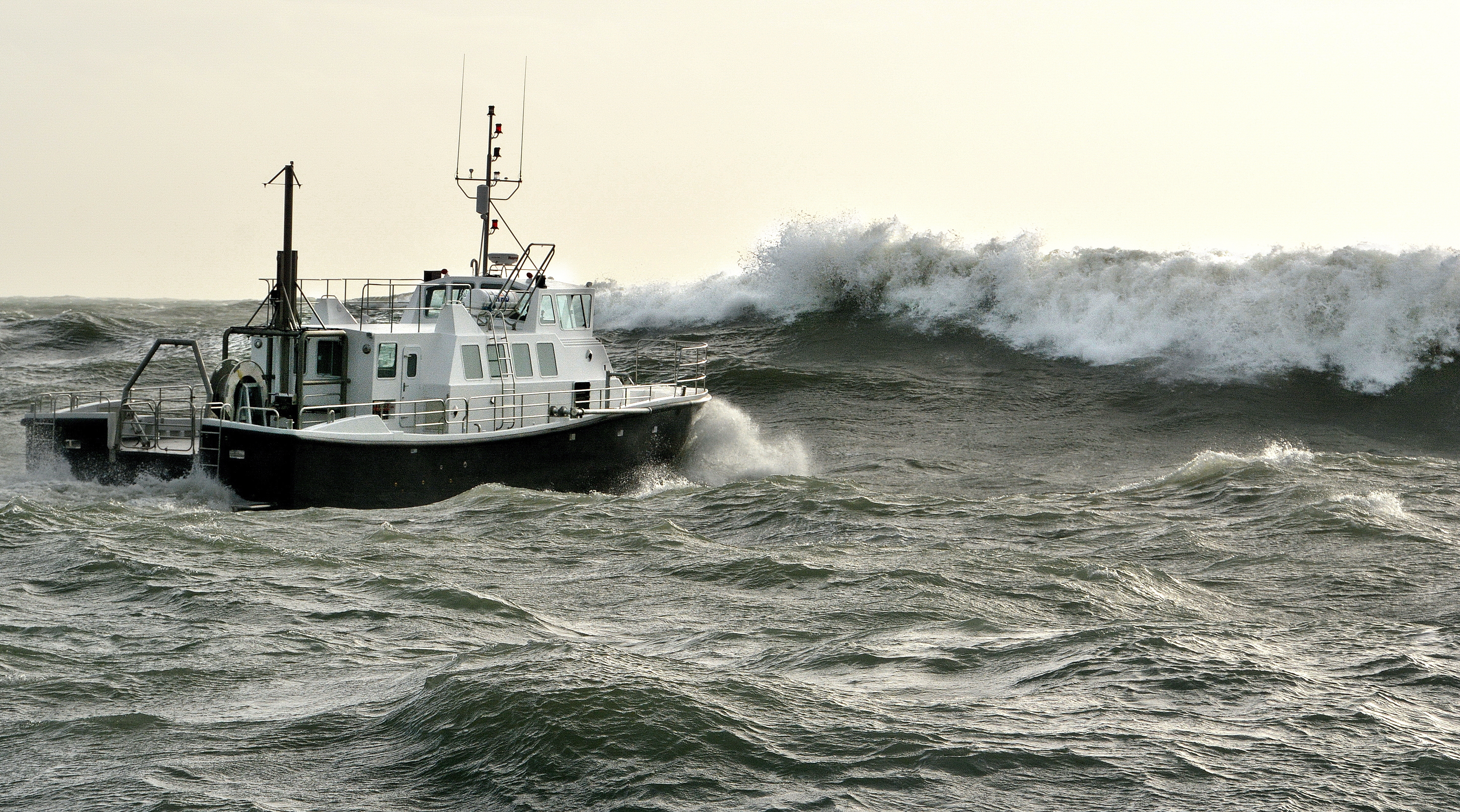 Wildcat 60 | safehavenmarine