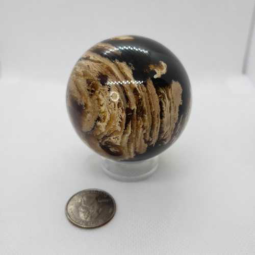 Indonesian Amber Sphere | Crystals By Jeanie