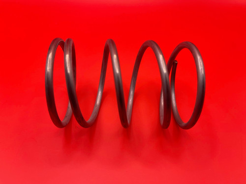 Lighter Primary Spring | Cornell Customs Llc