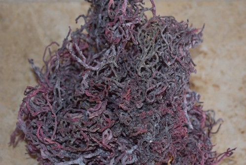 Raw Purple Sea Moss | seamoss avenue