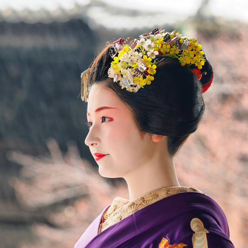 1 day trip including Private Geisha party - November 8th, 2024 | miyako ...