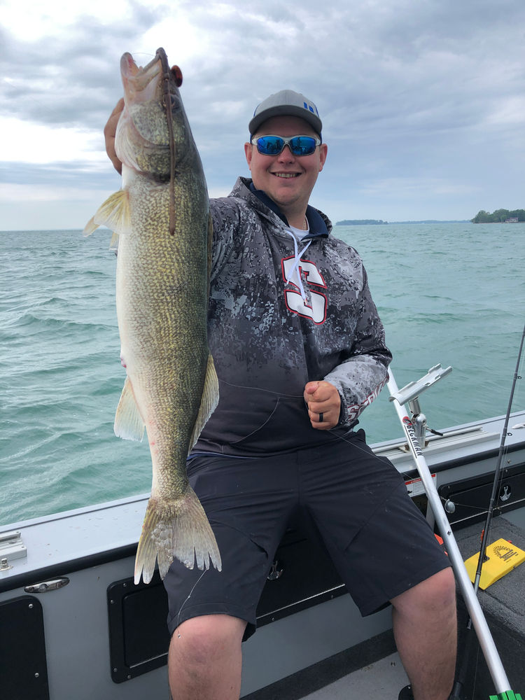 Spinner, Spinner, Fish Dinner