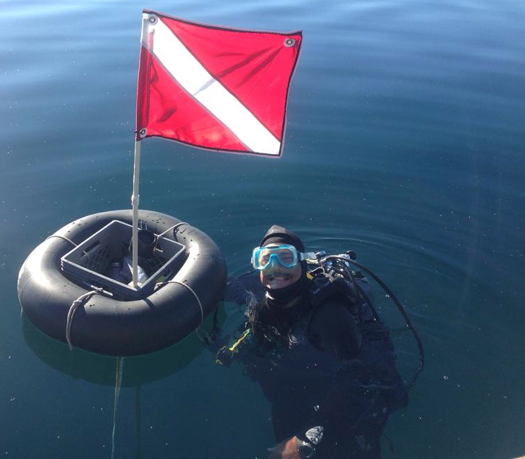 Precision Trolling Testing Never Gets Old