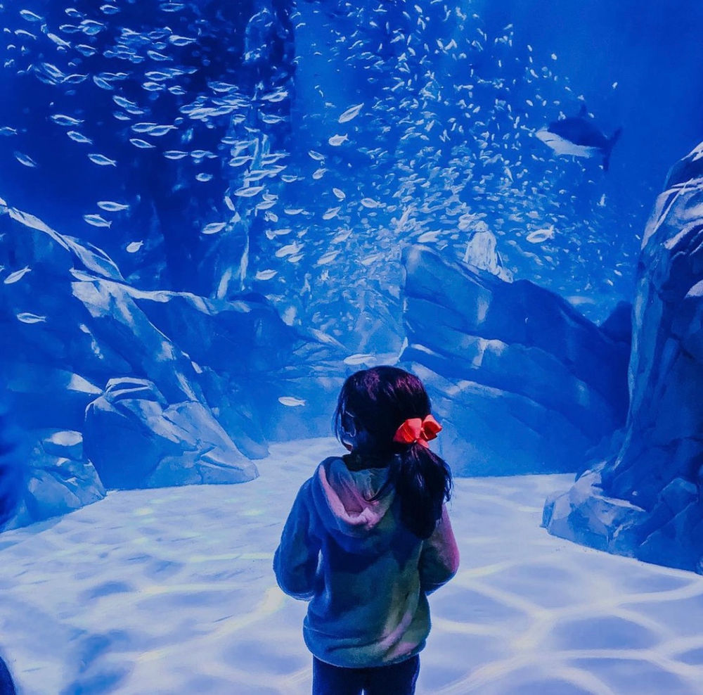 Best Places in Georgia to Visit with Kids