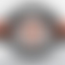 Official Website of the SEAC Tigers