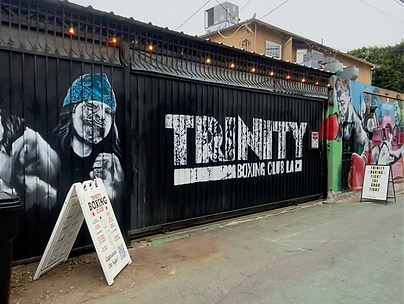 HOME | Trinity Boxing LA