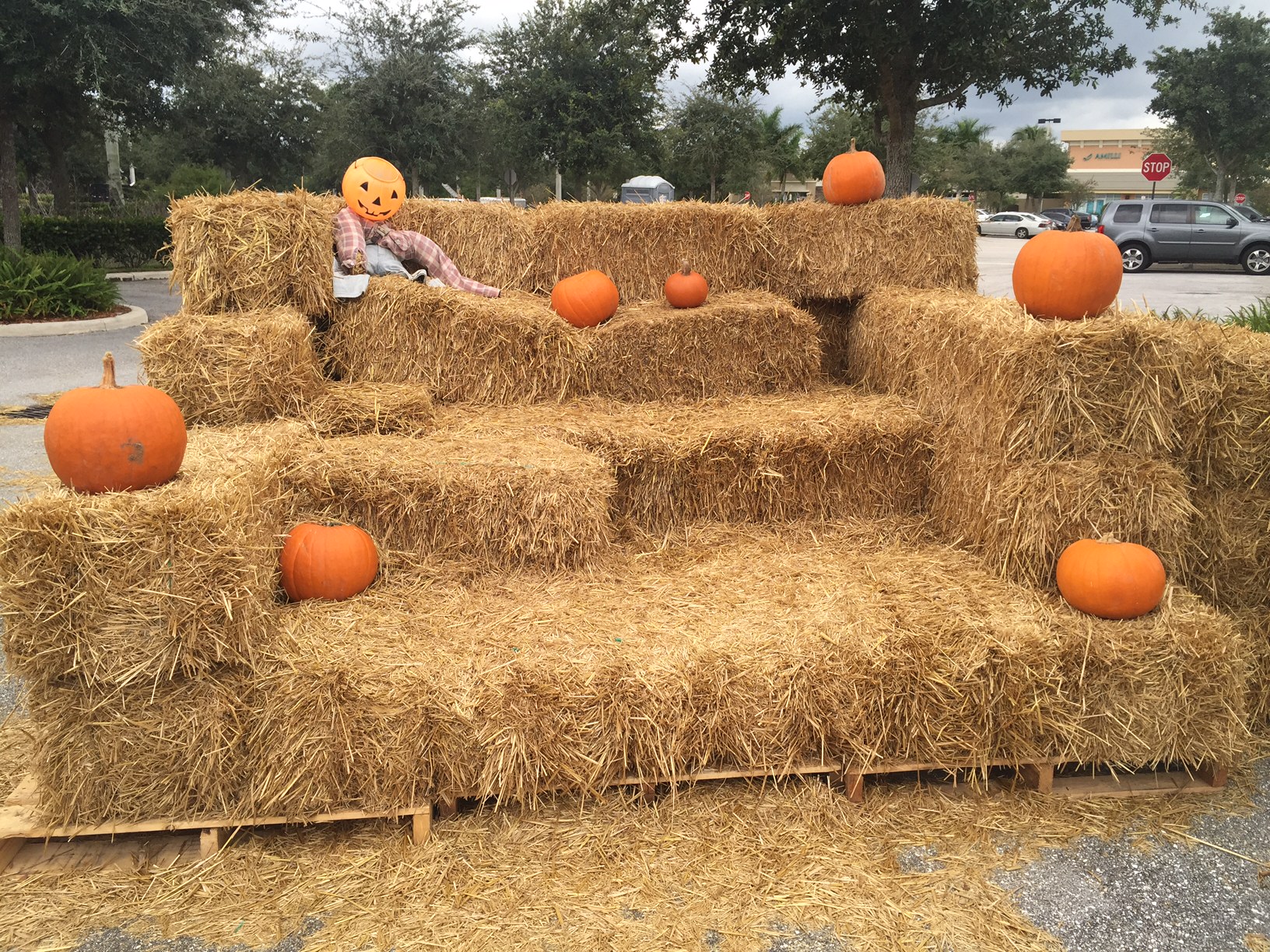 Pictures of our Pumpkin Patches