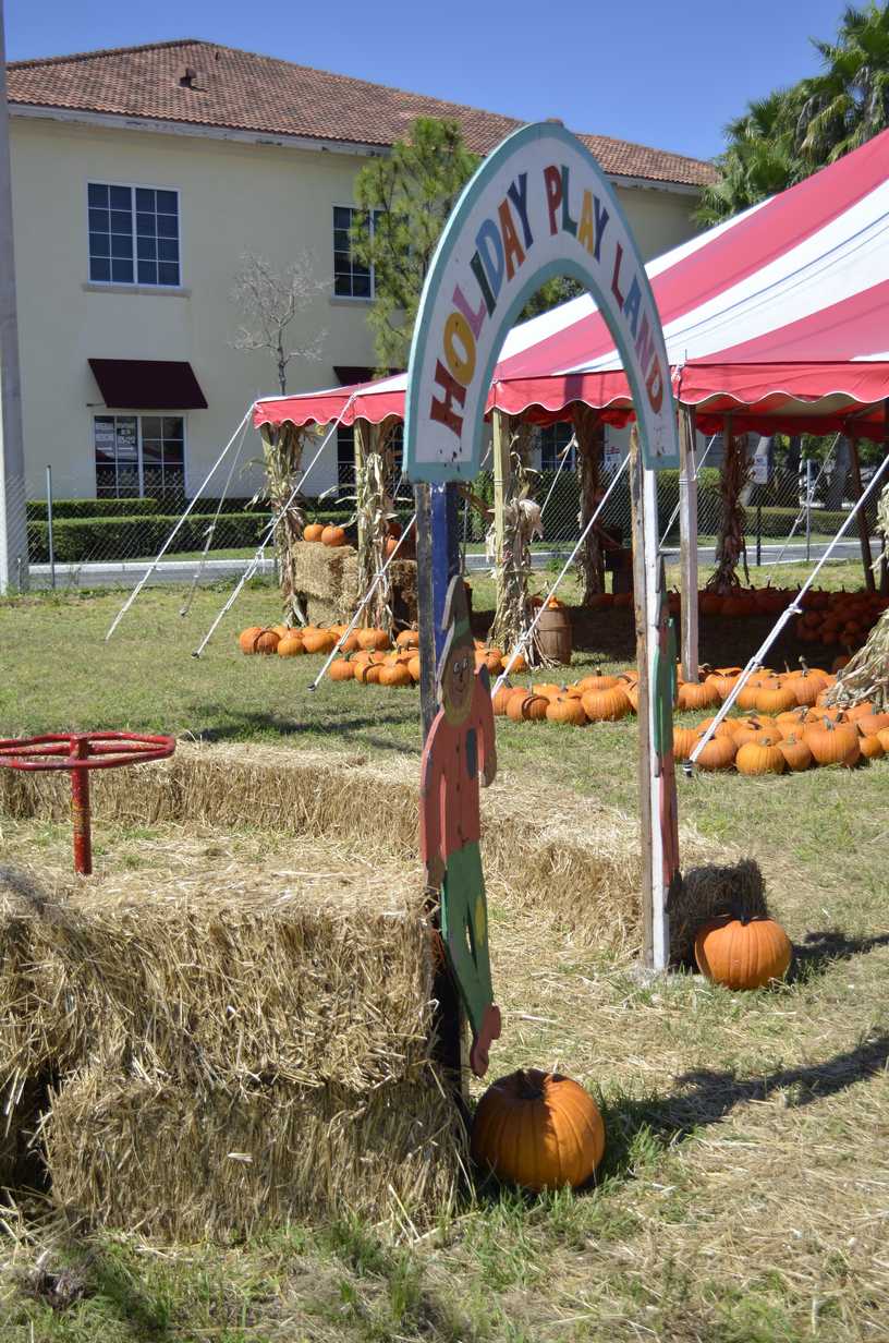 Pictures of our Pumpkin Patches