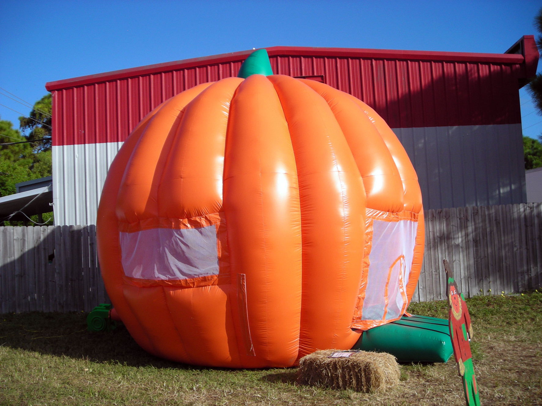 Types Of Pumpkins For Sale types-of-pumpkins-for-sale
