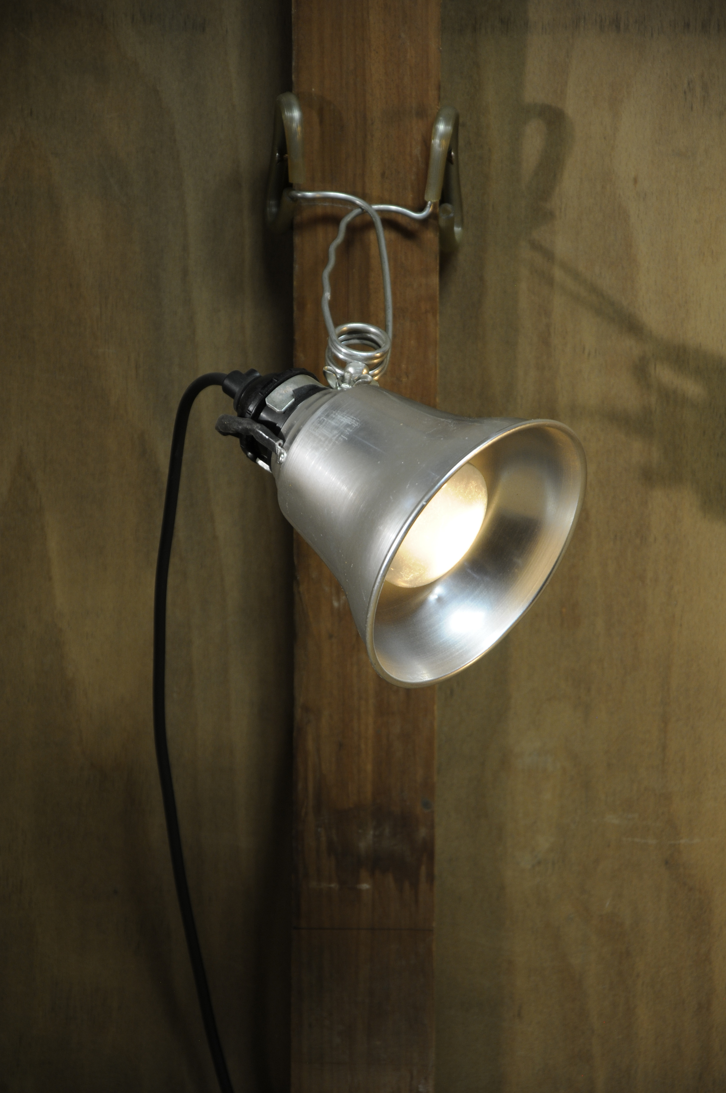 Spotlight #3 | Ancient Lights