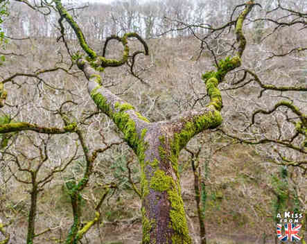 Visiter le Parc National d'Exmoor | Guide voyage Angleterre | A Kiss ...