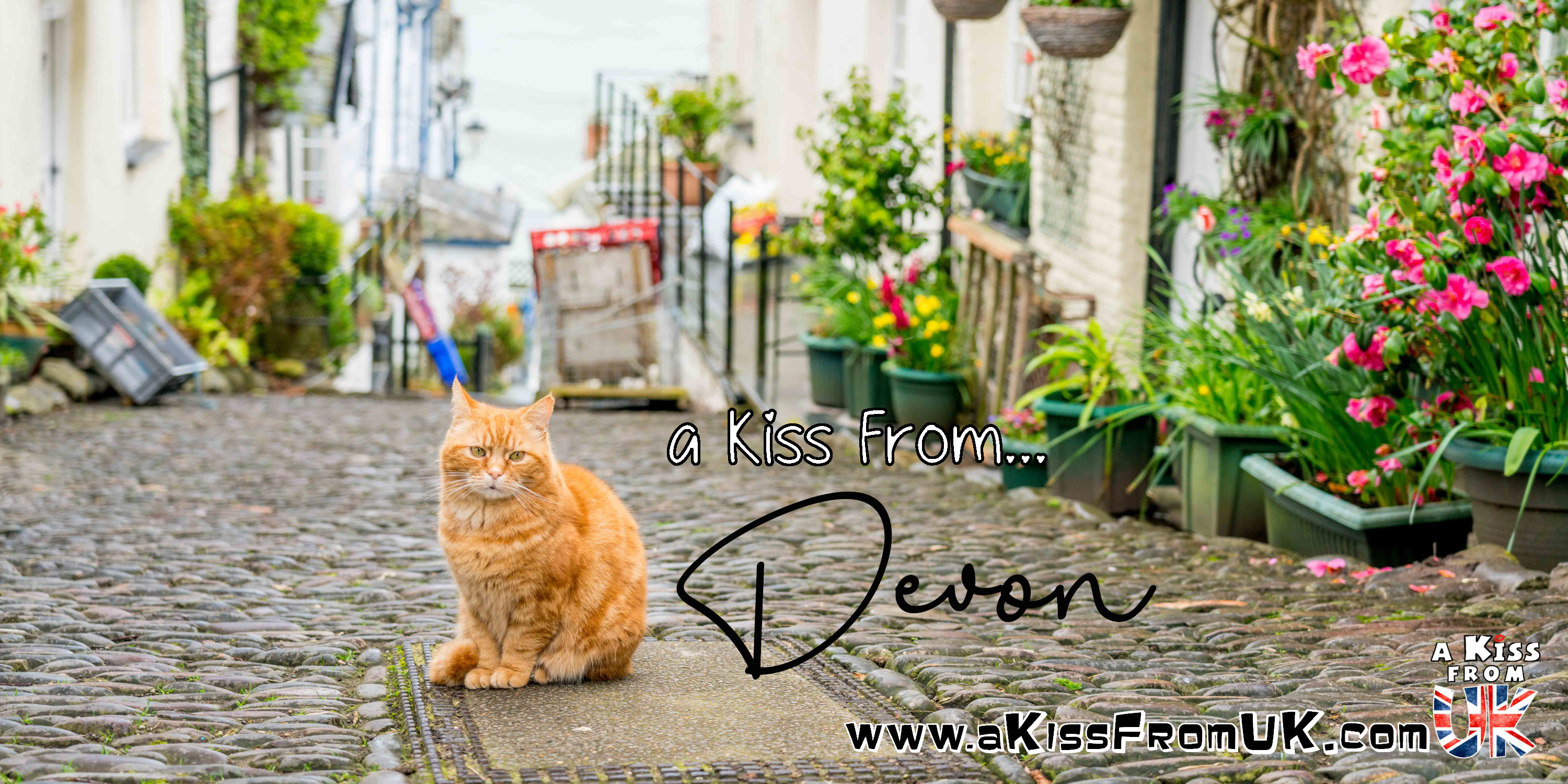 Visiter le DEVON & le DARTMOOR | guide Angleterre | A Kiss from UK