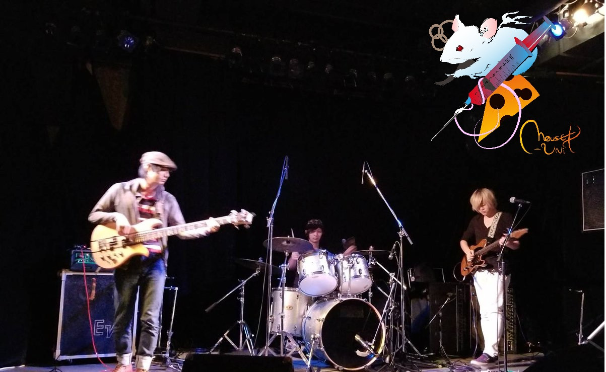 GALLERY | mouse-unit